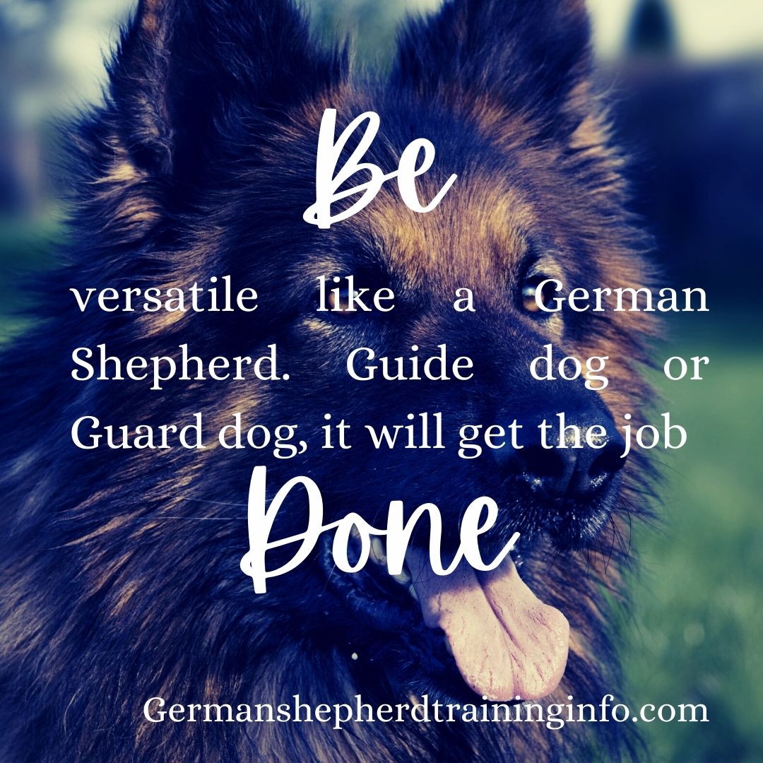 Top 5 German Shepherd Inspirational Quotes For Instagram - Purrfect Paws